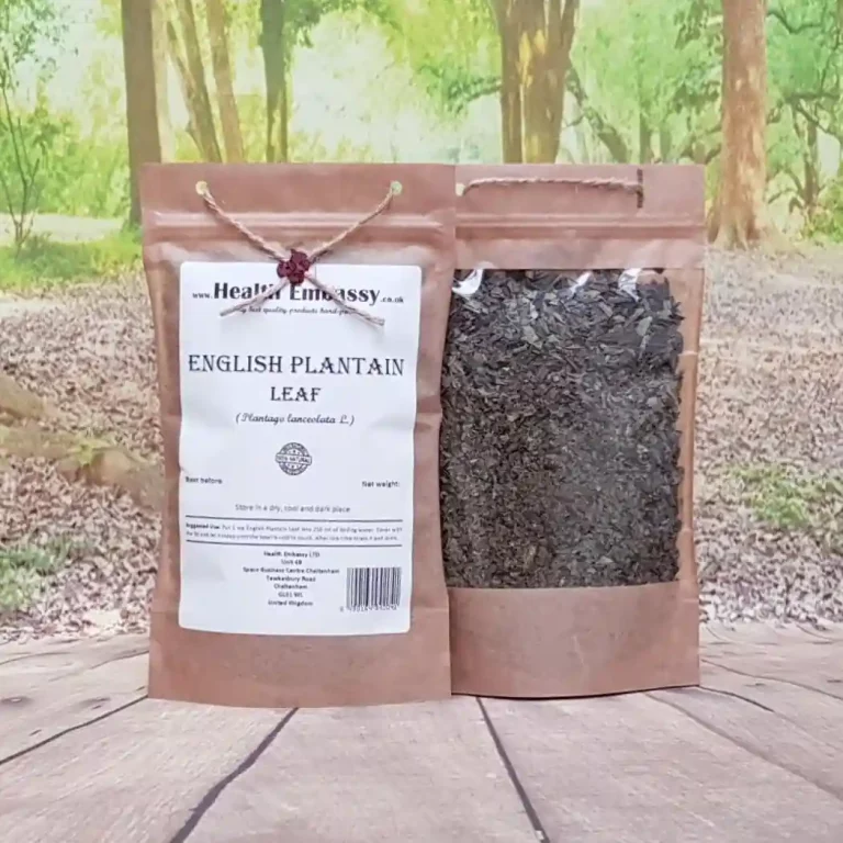 English Plantain Leaf (Plantago lanceolata L) Health Embassy