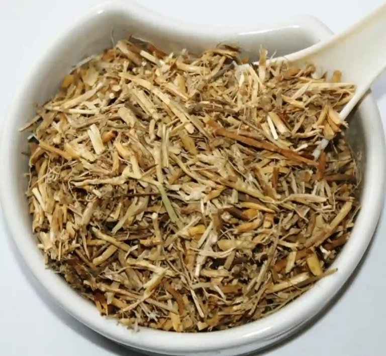 Dried Couch Grass Rhizome (Elymus repens L) Health Embassy