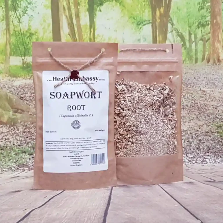 Dried Soapwort Root (Saponaria officinalis) - Health Embassy